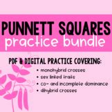 Sex Linked Traits Practice Worksheet By Laney Lee TpT