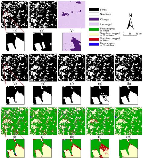 forest maps and corresponding forest error maps obtained by different