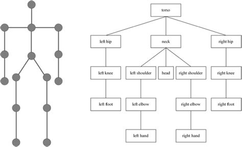 Human Skeleton Model Left And Hierarchical Structure Right Download Scientific Diagram