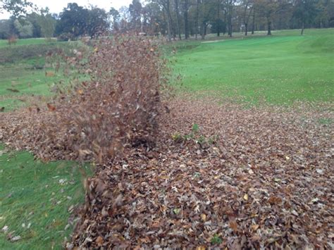 Inputting A Day In The Life Of Matt Plested Head