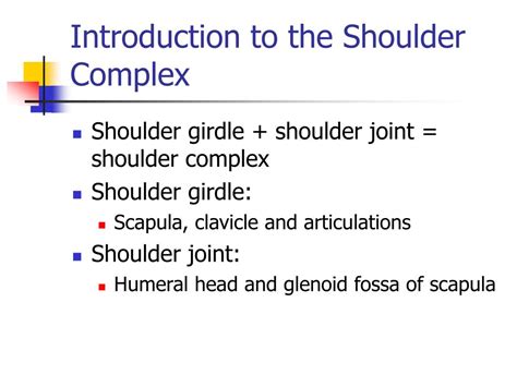 Ppt The Shoulder Complex Powerpoint Presentation Free Download Id 3211732