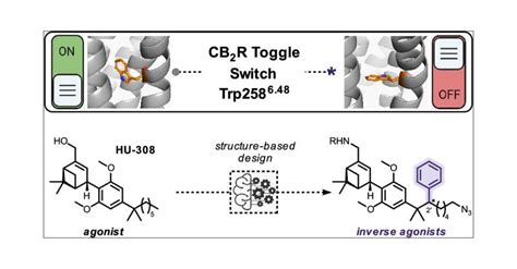 Miroslav Kosar On Linkedin Flipping The Gpcr Switch Structure Based Development Of Selective…