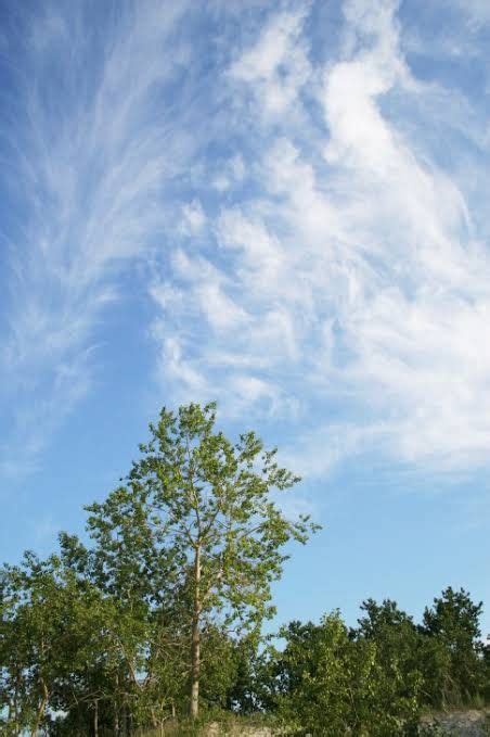 Shivani Trivedi On Linkedin Aaseyacloudphotography Aaseyaphotography Photography…