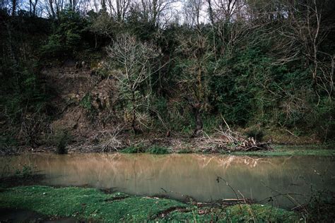 გურიის ბიომრავალფეროვნება და საფრთხეები Green Alternative