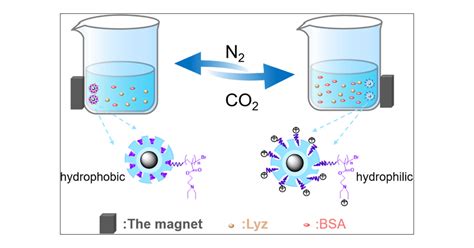 Co2 And Magnetic Dual Responsive Microspheres That Reversibly And Selectively Capture Target