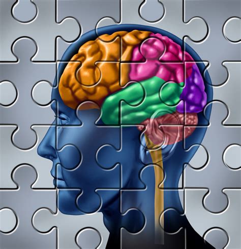 Procedural Memory Definition And Examples Live Science