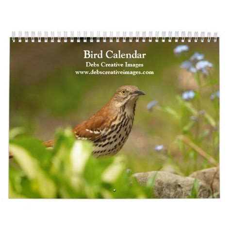 Daily Bird Calendar Plan Your Year Easily