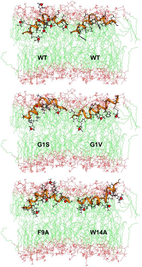 Figure 3 From Combined Nmr And Epr Spectroscopy To Determine Structures Of Viral Fusion Domains
