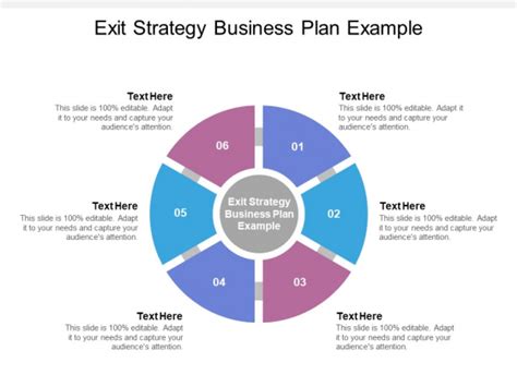 Exit Strategy Business Plan Example Ppt PowerPoint Presentation Professional Samples Cpb