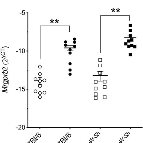 Isolated Bladder Tissue From Both Wild Type And Mast Cell Deficient Download Scientific Diagram
