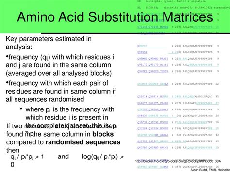 Ppt Pairwise Alignments And Sequence Similarity Based Searching Powerpoint Presentation Id