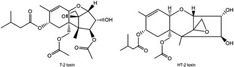 Structures Of T 2 Toxin And Its Major Metabolite Ht 2 Toxin Download Scientific Diagram