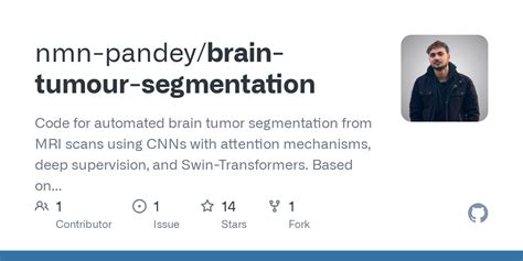Github Nmn Pandeybrain Tumour Segmentation Code For Automated Brain Tumor Segmentation From