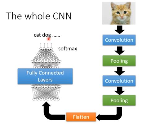卷积神经网络（cnn） Awei040519 博客园