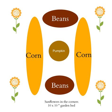 Planting A Three Sisters Garden Home Garden Joy