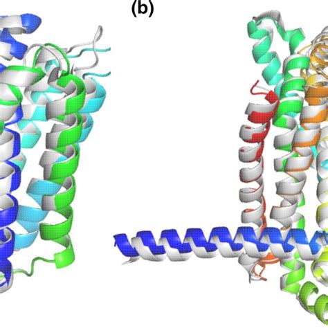 Blind Transmembrane Fold Predictions The Af2 Predicted Structures Download Scientific Diagram