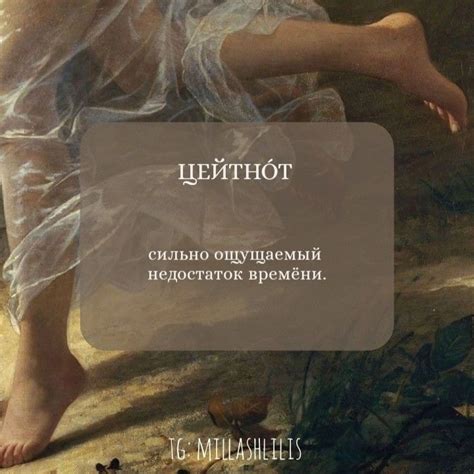 словодня Латинские фразы Словарные слова Слова