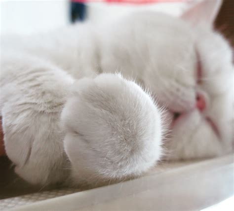 간밤에 또 코골이 몸 뒤척일 땐 소름 돋는 이갈이 까지아악 남편아 제발ㅠㅠ 이 불치병 어떻게 고치나 대한민국 턱치료의 파워 루이빈치과 류지헌