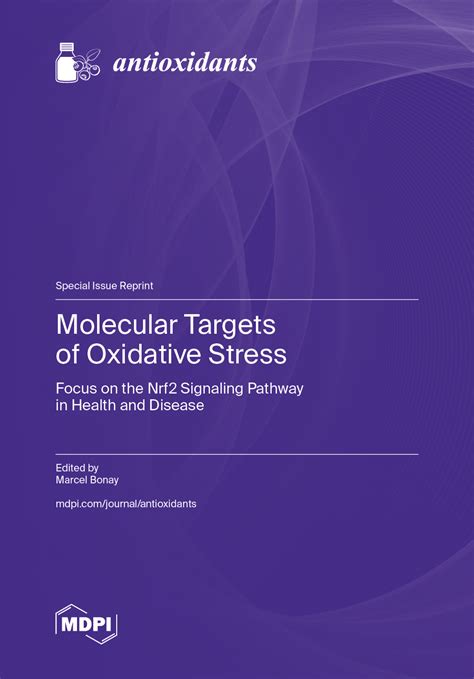 Molecular Targets Of Oxidative Stress Focus On The Nrf2 Signaling Pathway In Health And Disease