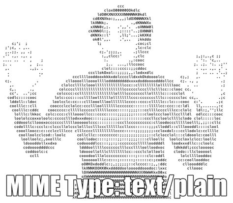 MIME Type R ProgrammerHumor
