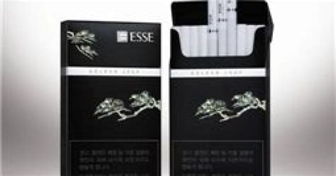 Ktandg 에쎄 골든 리프 리뉴얼 출시