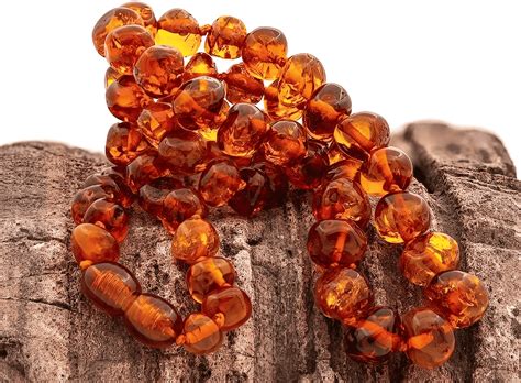 Tree Sap The Lifeblood Of Trees And Its Vital Functions