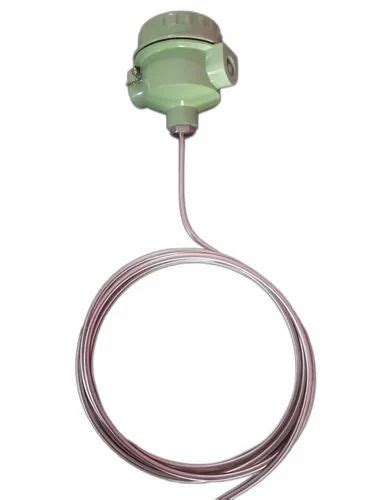RTD PT 100 Flip Head Flexible Temperature Sensor 2 Wire At Rs 899