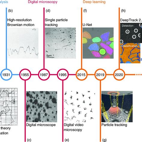 A Dense Neural Network To Classify Handwritten Digits A Three Download Scientific Diagram