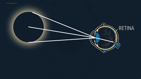 Why You Dont Look Directly At The Solar Eclipse Without Glasses