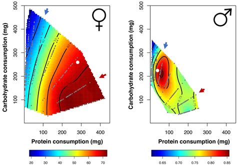 Sex Specific Transcriptomic Responses To Changes In The Nutritional Environment ELife