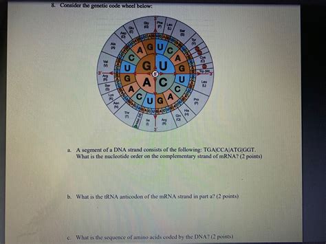 Solved 8 Consider The Genetic Code Wheel Below Png