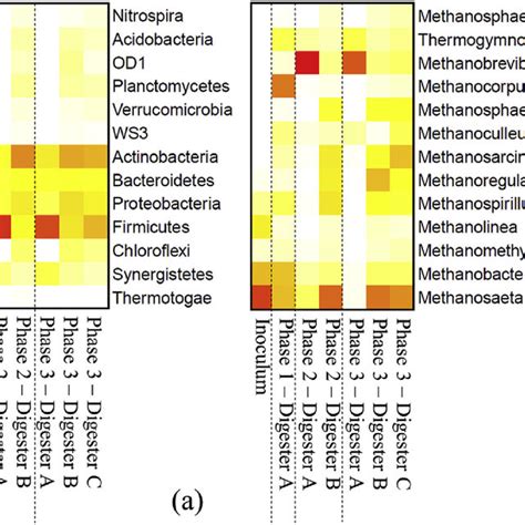 Heatmap Showing The Square Root Transformed Relative Abundance Of A