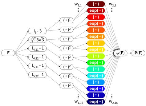 论文审查 Atrial Constitutive Neural Networks