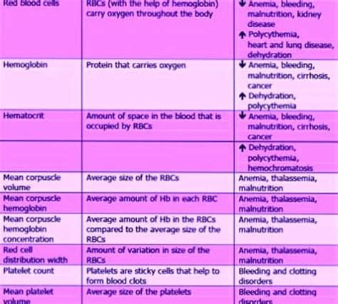 Undrestnding CBC Report PDF Blood Disorders Diseases And Conditions