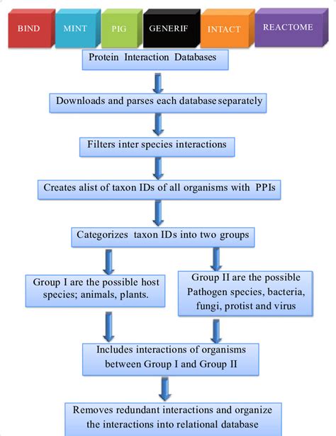 Flow Chart Representing The Work Flow Of Host Pathogen Interactions Download Scientific Diagram