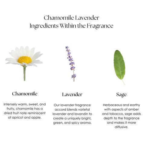 Lafco Chamomile Lavender Candle And Diffuser T Set Floralia Living