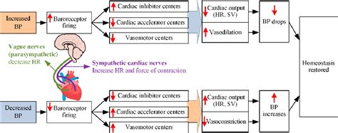 Figure 5 From Multilayer Perceptron Based Real Time Intradialytic Hypotension Prediction Using