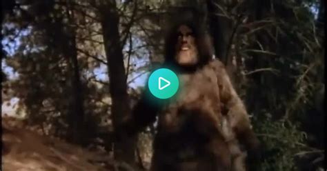 6 Million Dollar Bigfoot Album On Imgur