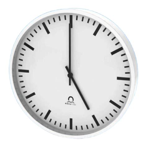 Mobatime Trend Ntp Series Mounting And Instruction Manual Pdf Download Manualslib