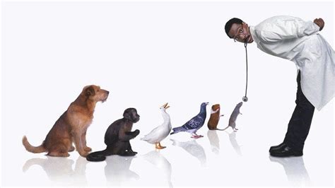 Dr Dolittle Film Alchetron The Free Social Encyclopedia