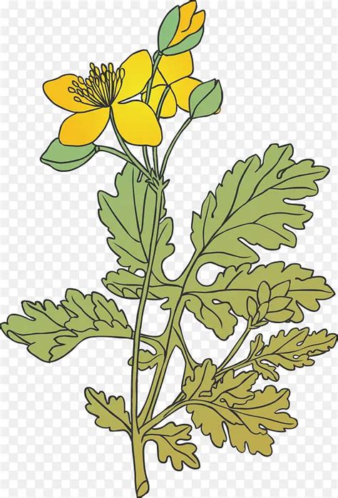 黄色小花艺术图案元素png图片素材下载图片编号qapzongy 免抠素材网 黄色小花艺术图案元素png图片素材下载图片编号qapzongy 免抠素材网