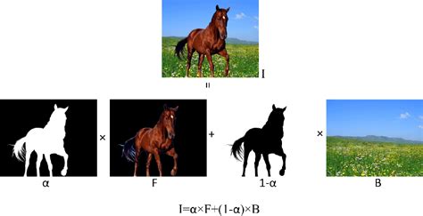Figure 11 From Improved Sampling Based Alpha Matting In Images And
