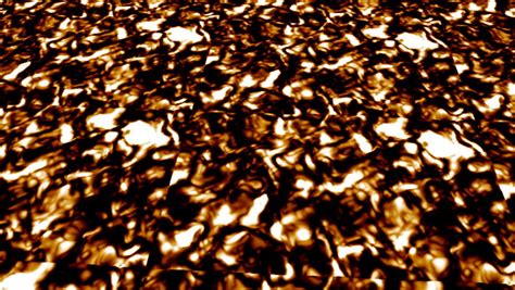 Plasmodesmata Slice Under The Microscope Plasmodesma Sec Full Hd