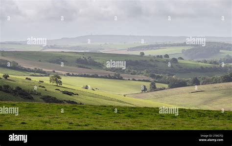 The Rolling Chalk Downland Landscape Of Englands Dorset Downs Seen
