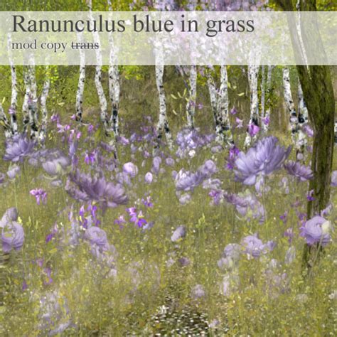 Second Life Marketplace Samsa Ranunculus 24 Flower Blue In Grass