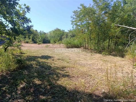 Vranić Odličan Halo Oglasi