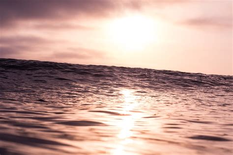 Quantum Sensor Networks Wave Detection Ecosystems Wisdom Wires