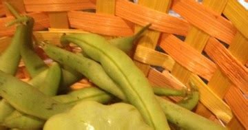 Patch Market Sex Organs