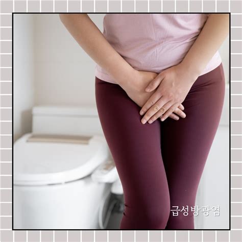 급성방광염 방광염증상 원인 과민성방광염 방광염혈뇨 방광염응급실 가야할때 네이버 포스트