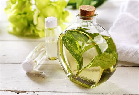 Recipe Details Canola Oil Good For Every Body